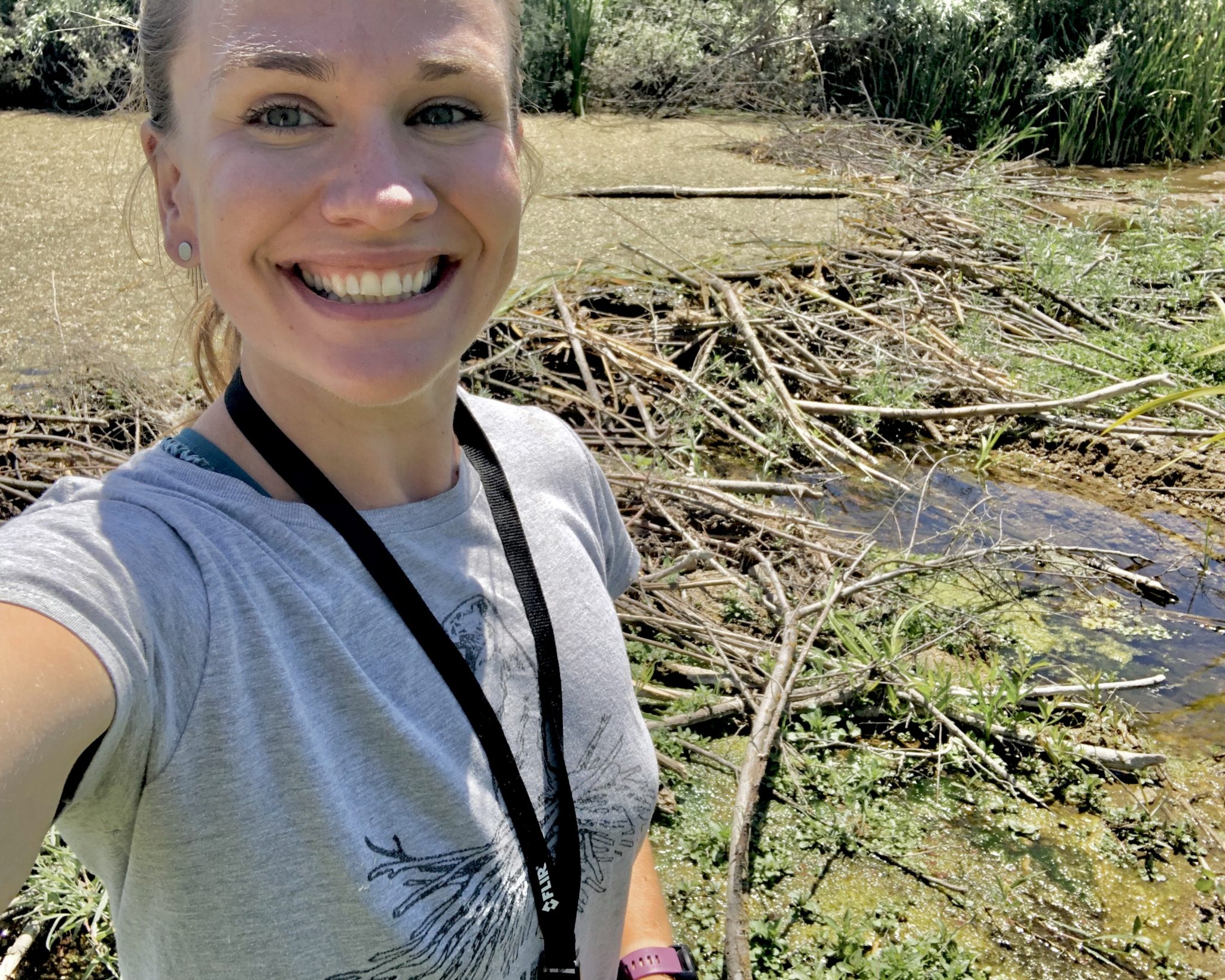 “Jewel” of a Beaver Complex – SLO Beaver Brigade