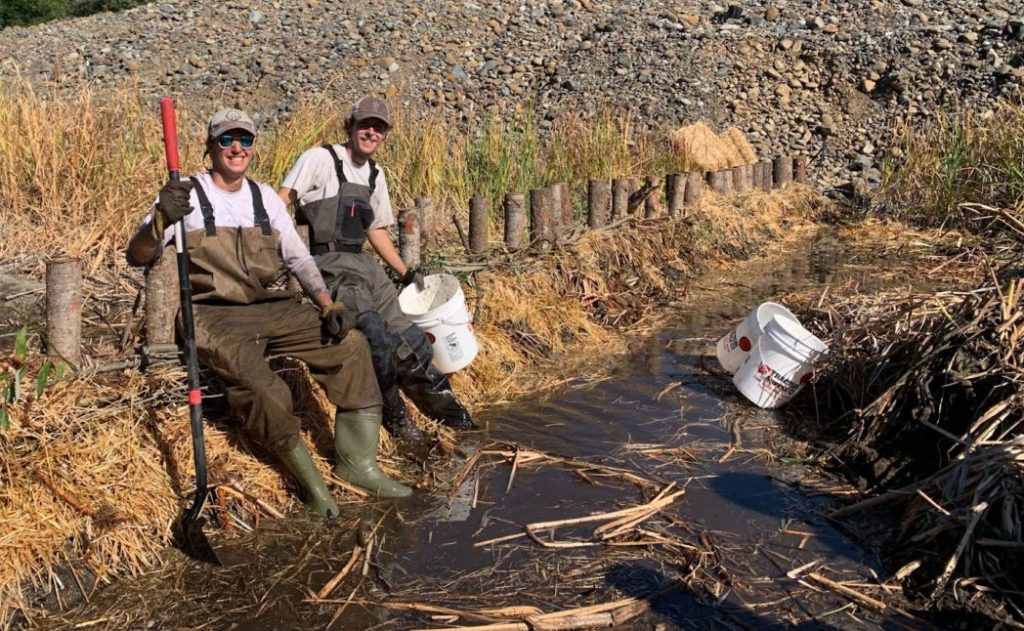 Volunteer with the Beaver Brigade – SLO Beaver Brigade