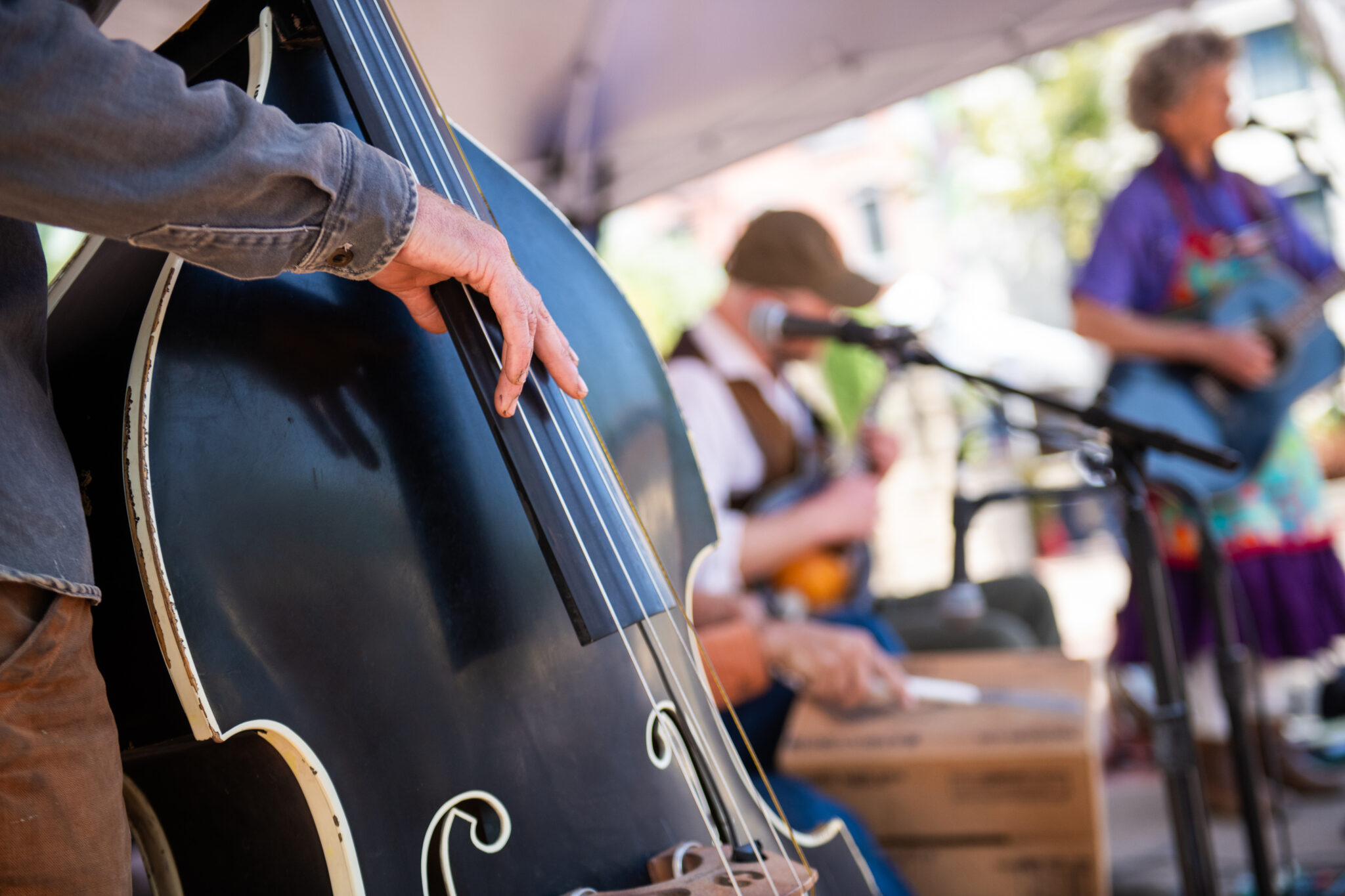 Thanks for making our Third Annual Beaver Festival a huge success ...
