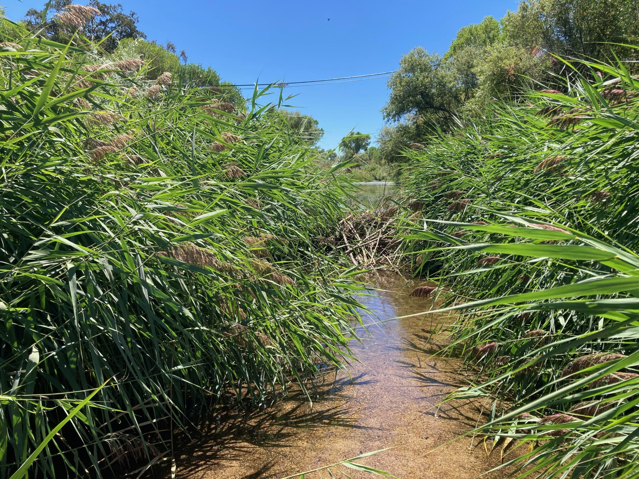 A River Worth Knowing: Volunteer Spotlight with Kate and Fred – SLO ...